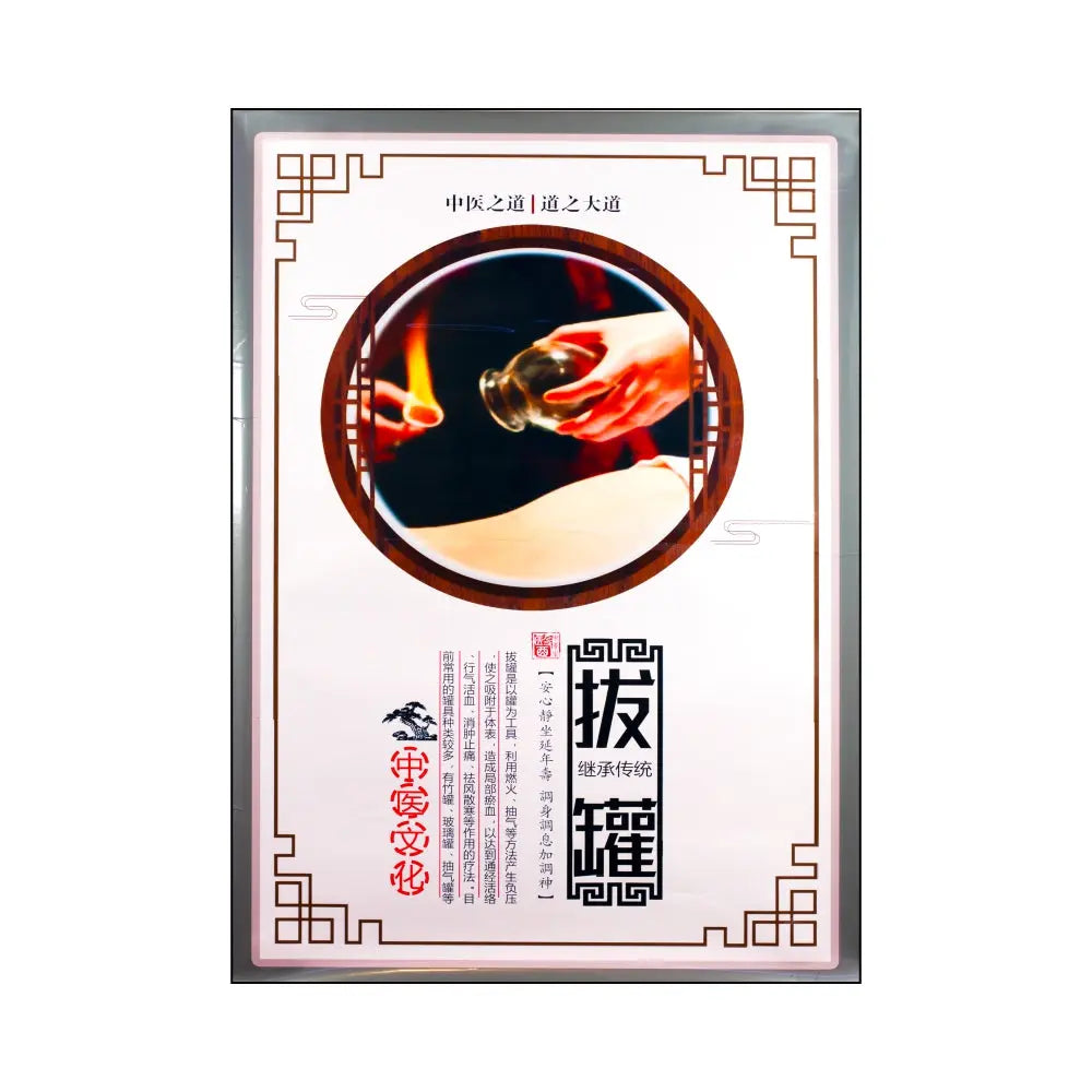 Full Set Acupuncture Wall Chart